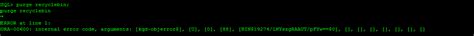 Remote Oracle Database Support Ora 00600 Internal Error Code