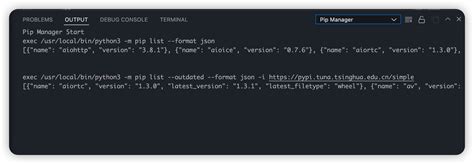 Issue Extension Window Just Says Wait Init Issue Slightc Pip Manager GitHub