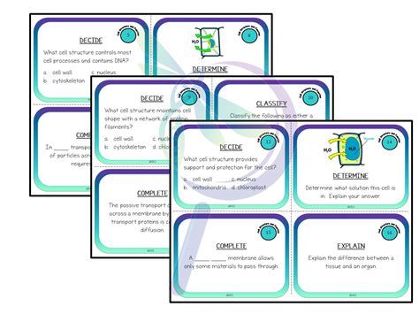 Cell Structure And Function Task Cards NGS Magnified