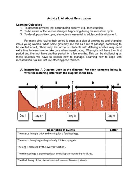 Activity 2 Menstruation 1 Pdf
