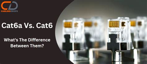 Cat6a Vs Cat6 Key Differences For Business Ethernet Cable Installation
