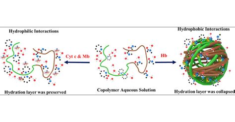 Biological Stimuli Induced Phase Transition Of A Synthesized Block