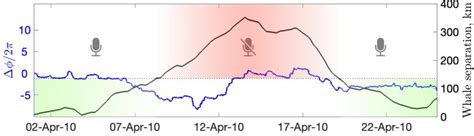 Scientists Uncover Mysterious Long Distance Whale Synchronization