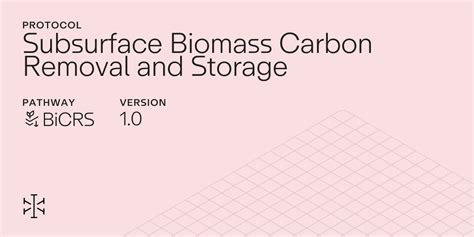 Subsurface Biomass Carbon Removal And Storage — Isometric