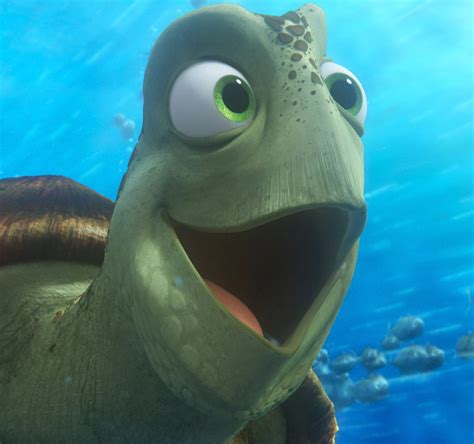 Finding Nemo Characters Turtle