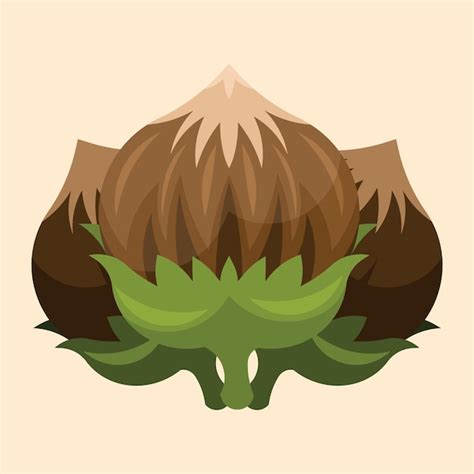 헤이즐넛 벡터 이미지 격리 된 배경 프리미엄 벡터