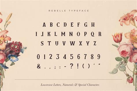 Vintage Lettering Toolkit For Procreate — Aurelie Maron