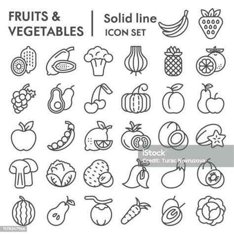 과일과 채소 라인 아이콘 세트 농장 음식 기호 컬렉션 벡터 스케치 로고 일러스트레이션 비타민 징후 선형 그림 패키지 흰색 배경에 격리 Eps 10 10에 대한 스톡 벡터
