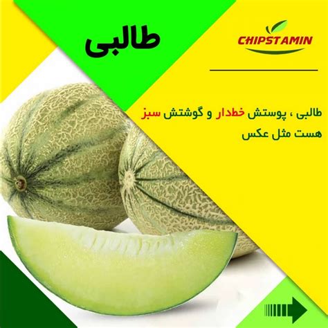 یک بار برای همیشه طالبی،سمسوری،ملون و گرمک را از هم تشخیص بده