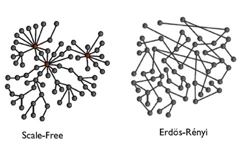 3 Some Examples Of Complex Networks Download Scientific Diagram