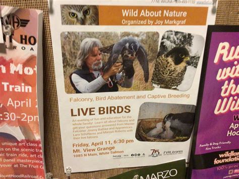 Bird Class Gorge Classified