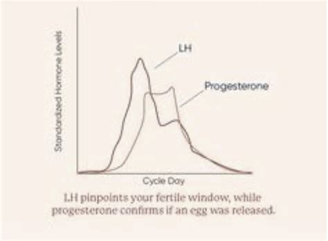 ADN Fall 2022 Family Planning Flashcards Quizlet