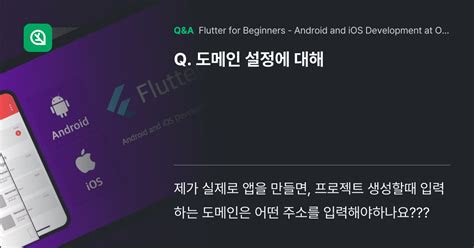 도메인 설정에 대해 inflearn community qanda