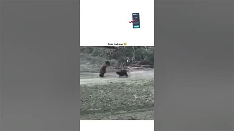 Programmerhumor Codefails Techlaughs Adultingfails