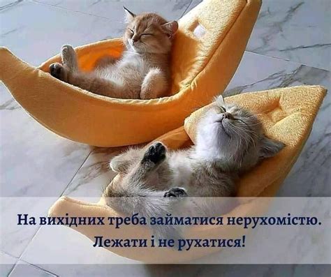 Сучасний український гумор прикольні анекдоти українською мовою в картинках меми та смішні