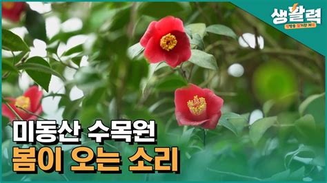 봄이 오는 소리ㅣ생방송활기찬저녁ㅣMBC충북ㅣ230215 YouTube