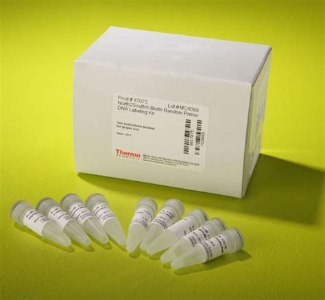 Thermo Scientific North2south Biotin Random Prime Dna Labeling Kit 10