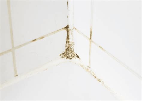 How To Maintain A Dark Green Bathroom A House In The Hills
