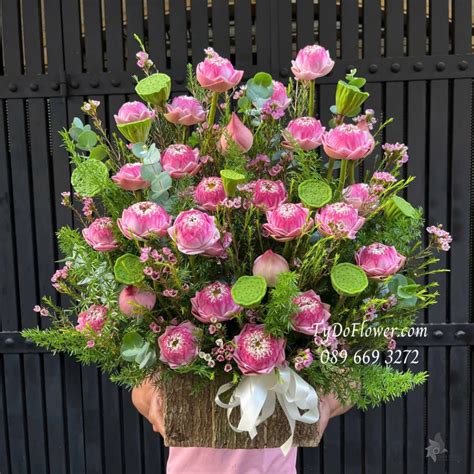 Tydo Flower C A H Ng Hoa T I G V P G Gi Hoa Sen H Ng Thi T K Hoa Sen H Ng G P