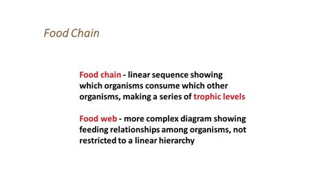 Microbial Loop Pptx Microbial Loop Pptx