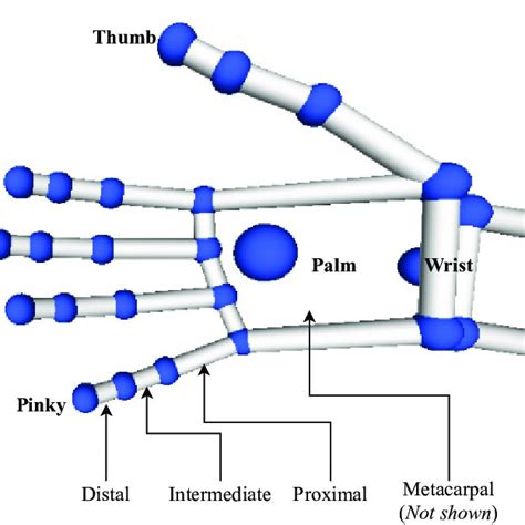 Sign Language Recognition System Architecture Download Scientific Diagram