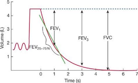 Pulmonary Function Testing Thoracic Key