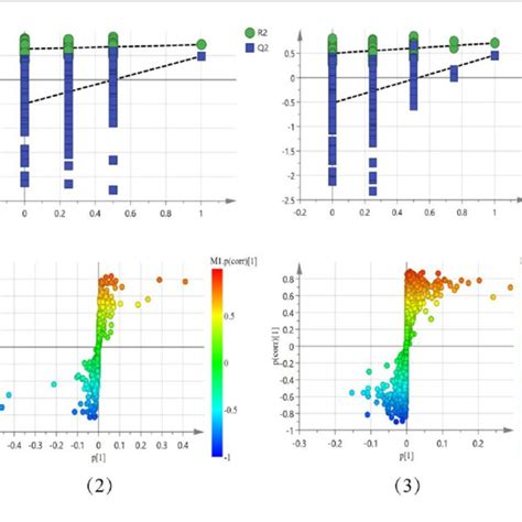 Permutation Test Plots A And S Plot B Of Opls Da Between The Download Scientific Diagram