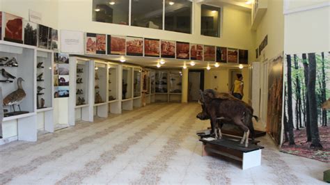 Историческият музей в Белоградчик Култура БНР Новини