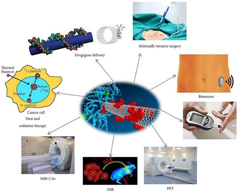 biomedical applications of functionalized one‐dimensional materials in download scientific