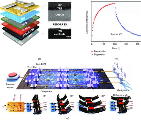 Demonstration Of A Light Emitting Diode In Mimicking Potentiation And Download Scientific