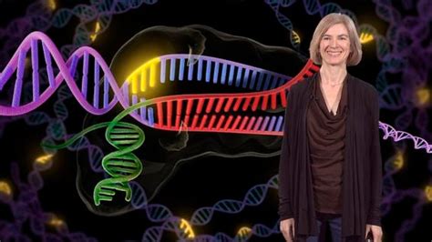 유전자 가위로 암세포만 잘라낸다