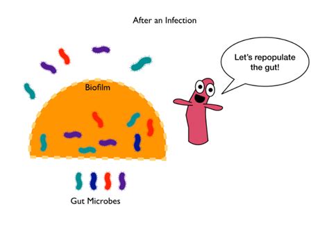 APPENDIX WHAT IS IT GOOD FOR The Dish On Science