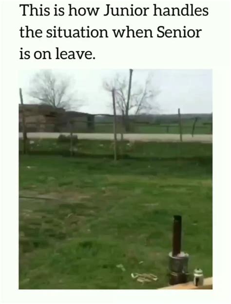 Nouman Khan Posted On Linkedin