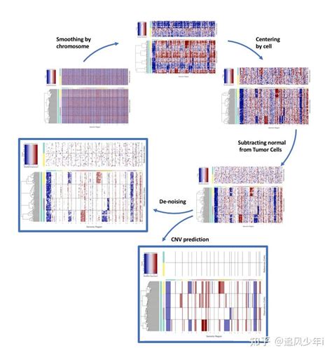 X单细胞 X空间转录组CNV分析之inferCNVpy 知乎