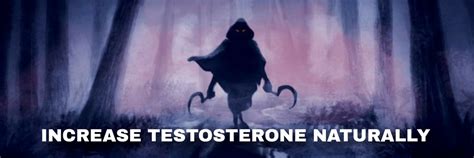 Wolf Testosterone Method