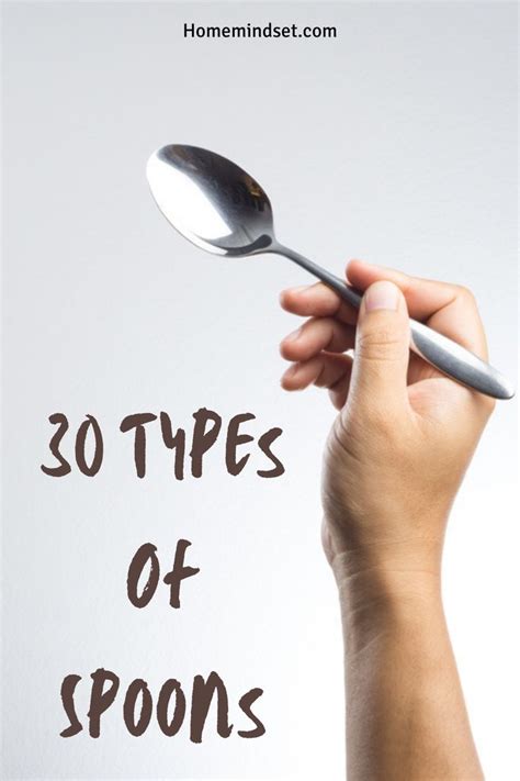 30 Types Of Spoons Differences Uses Pics Spoon Long Teaspoon Type