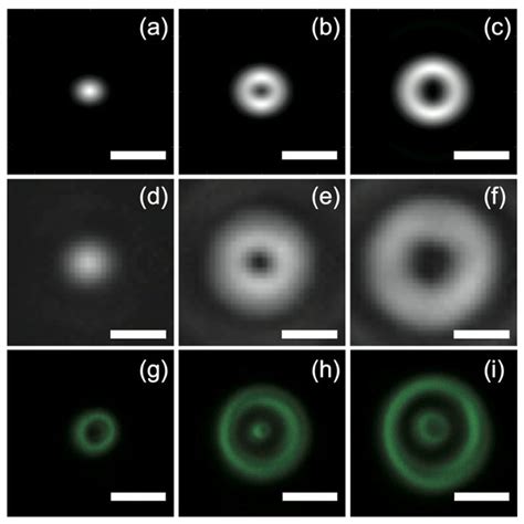 A Experimental Setup SLM Spatial Light Modulator Phase Only Download Scientific Diagram