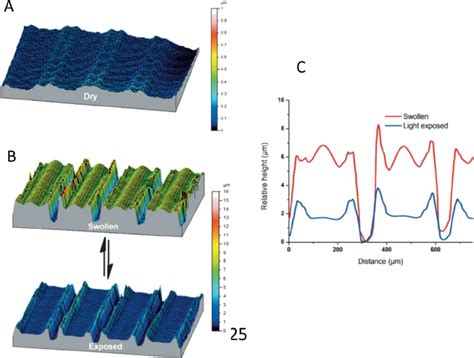 Surface Topography Of A Fi Lm That Was Obtained By Download