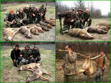 🐺 მტაცებლებზე ნადირობის ქრონიკა 🐺 ნადირობა საქართველოში Facebook