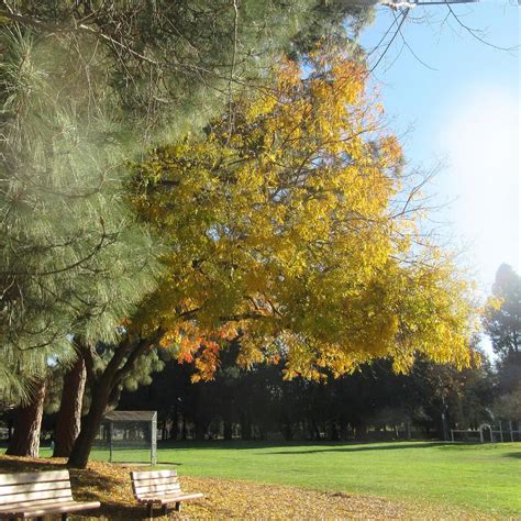 Serra Park All You Should Know Before Going 2026 With Reviews