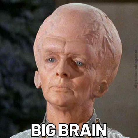 20 Funny Big Brain Memes For Genius Smarty Pants Brain Meme Smart
