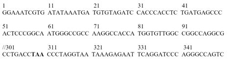 Solved The DNA Sequence Below Comes From The Coding Strand Chegg