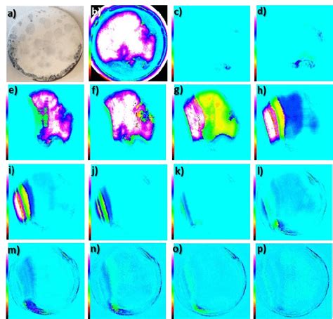 A Digital Image Of An Air Plasma Sprayed Aps Thermal Barrier Coating