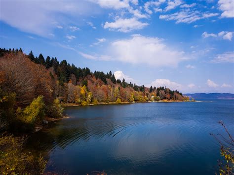 რაჭის ტური დღე ფერად სმაყაროში რაჭალეჩხუმი 0 Gel ფენომენალური ტურები