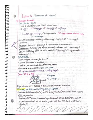 BIO Lectures BIO Studocu