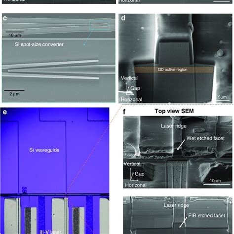 Fabricated Monolithically Integrated Inas Qd Lasers Coupled To Silicon Download Scientific