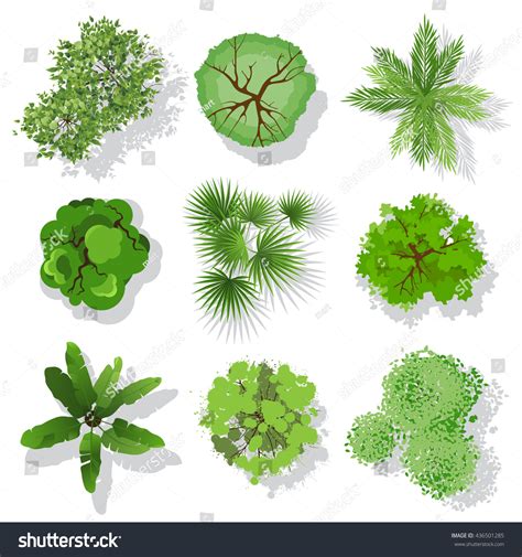 Trees Top View Your Own Landscape Stock Vector Royalty Free 436501285 Shutterstock
