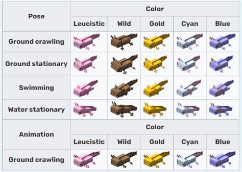 How Rare Are The Axolotl Colors In Minecraft At Priscilla Scott Blog