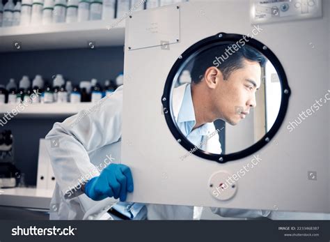 Scientist Man Science Laboratory Incubator Research Stock Photo 2233468387 Shutterstock