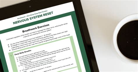 Nervous System Reset Download